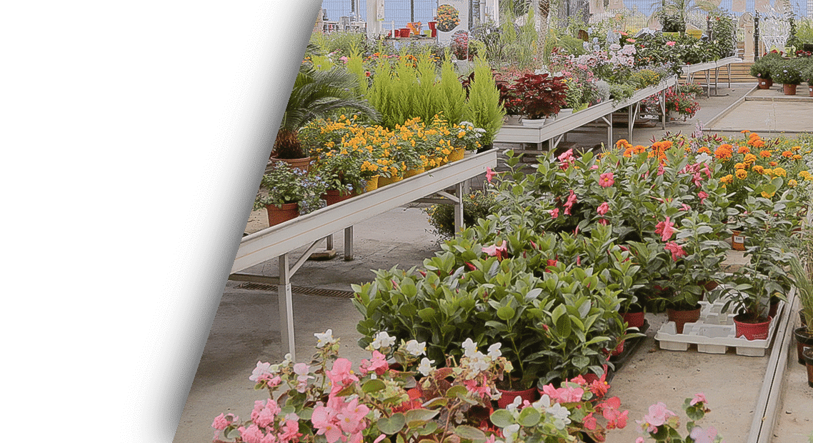 VillaVerde Rocchietta Jardinerie Décoration Animalerie